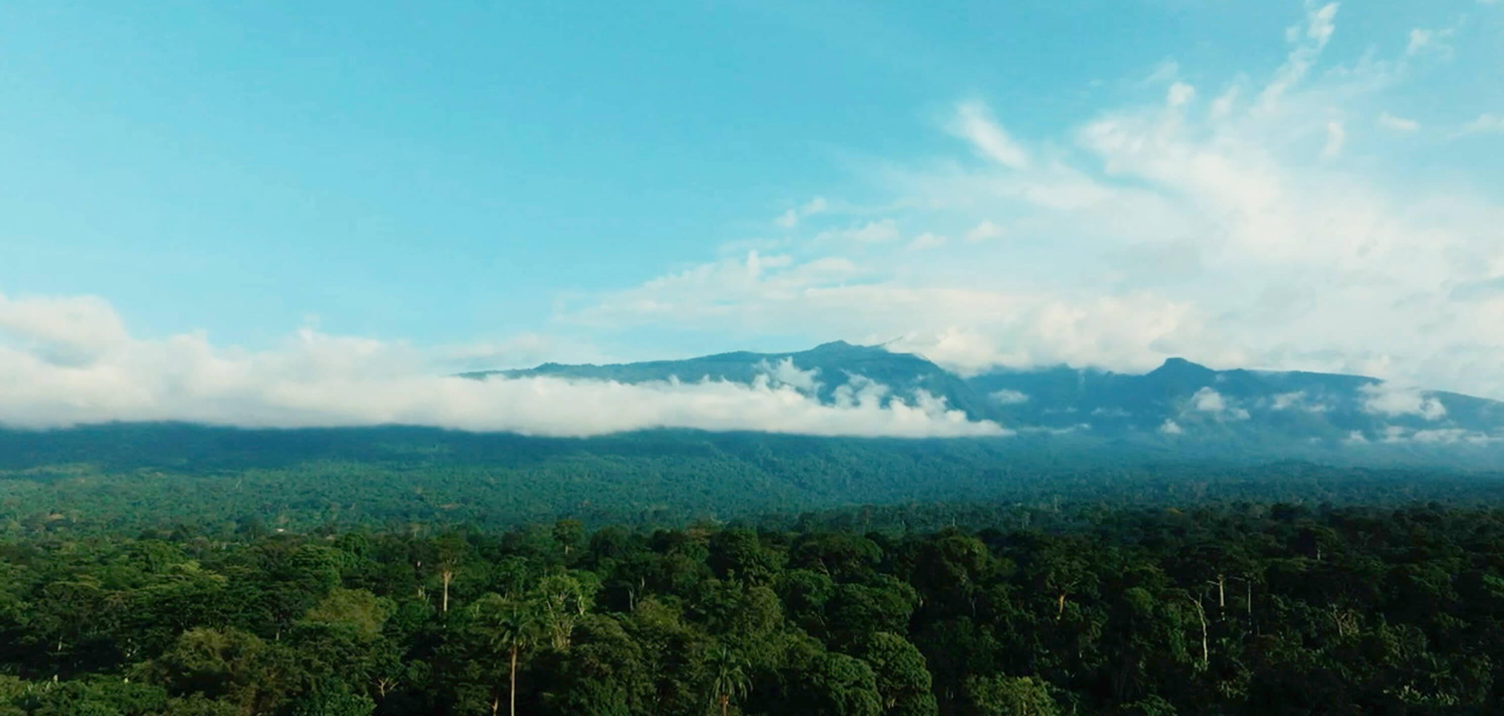 This world is a treasure - Equatorial Guinea - CNN