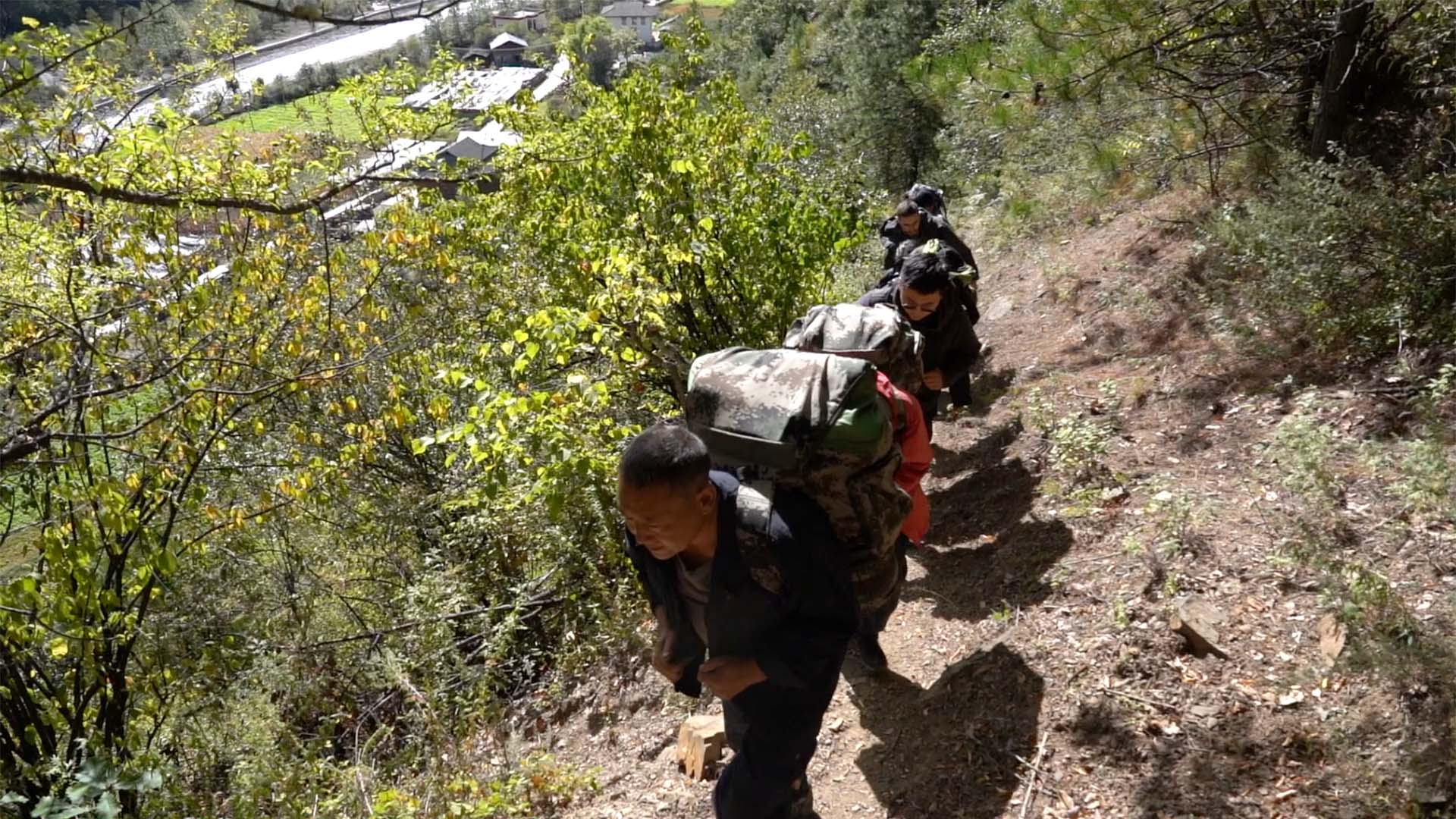 Protecting China’s Forests - CGTN - CNN