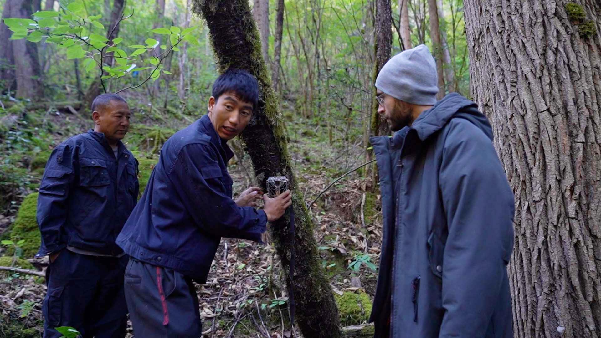 Protecting China’s Forests - CGTN - CNN
