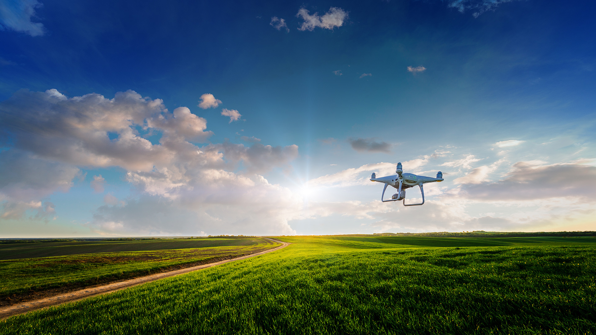 The sustainable farming revolution that’s transforming Brazil’s ...