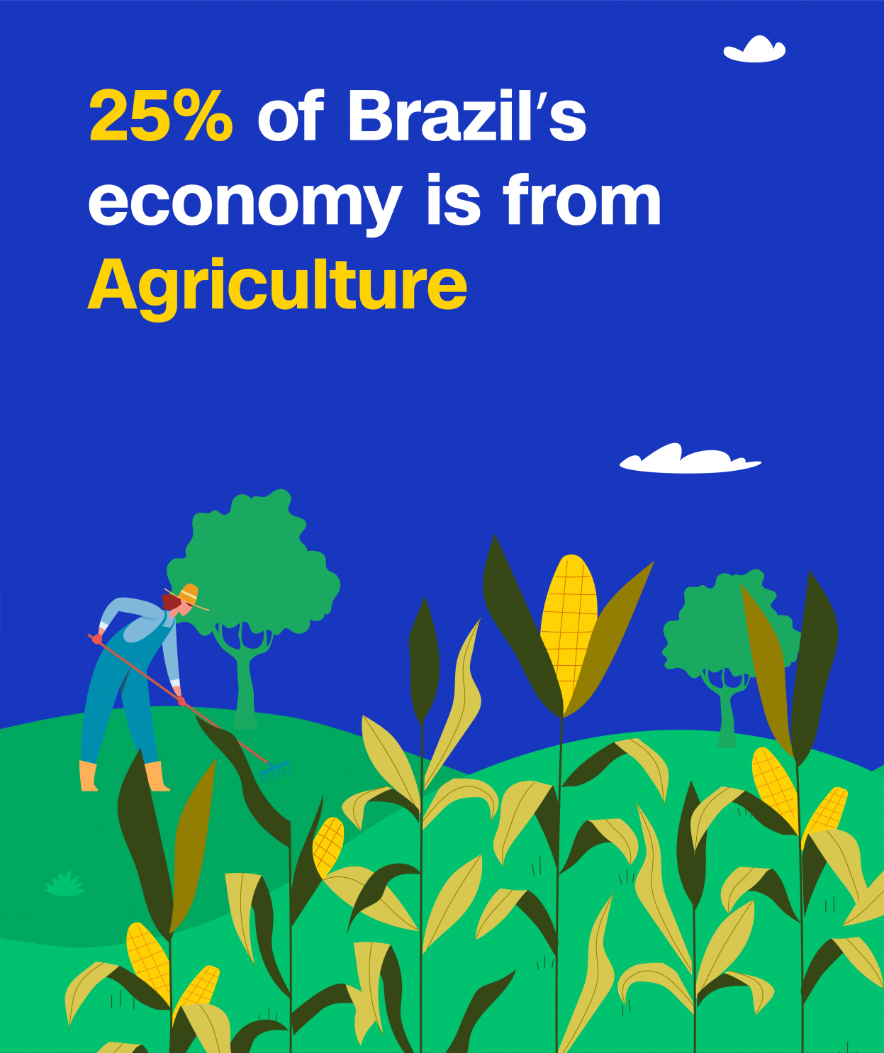 The sustainable farming revolution that’s transforming Brazil’s ...