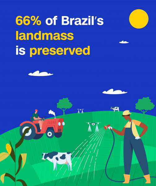 The sustainable farming revolution that’s transforming Brazil’s ...