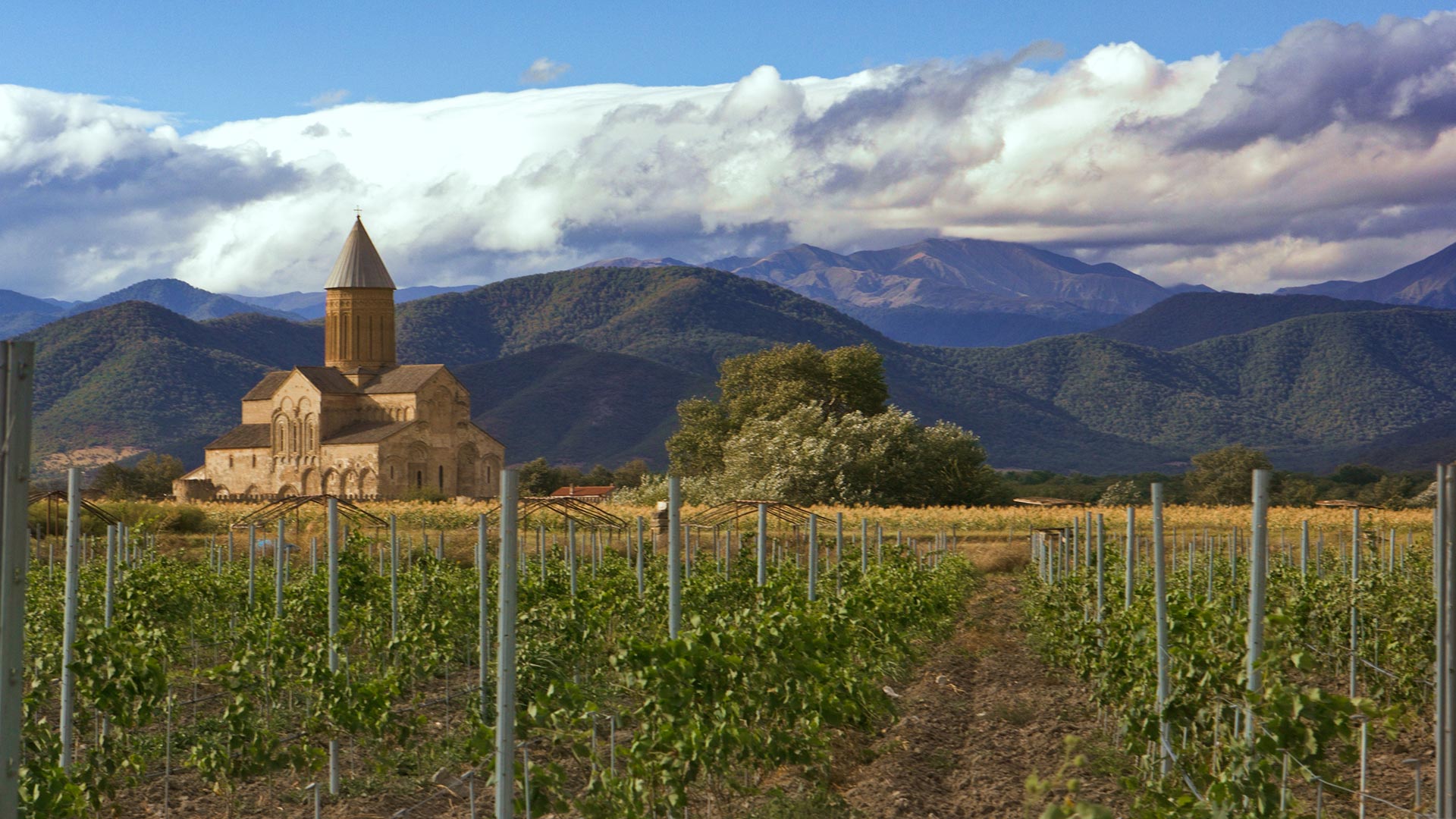 The story of Georgian wine: Marked by 8000 years of continuous vintage ...