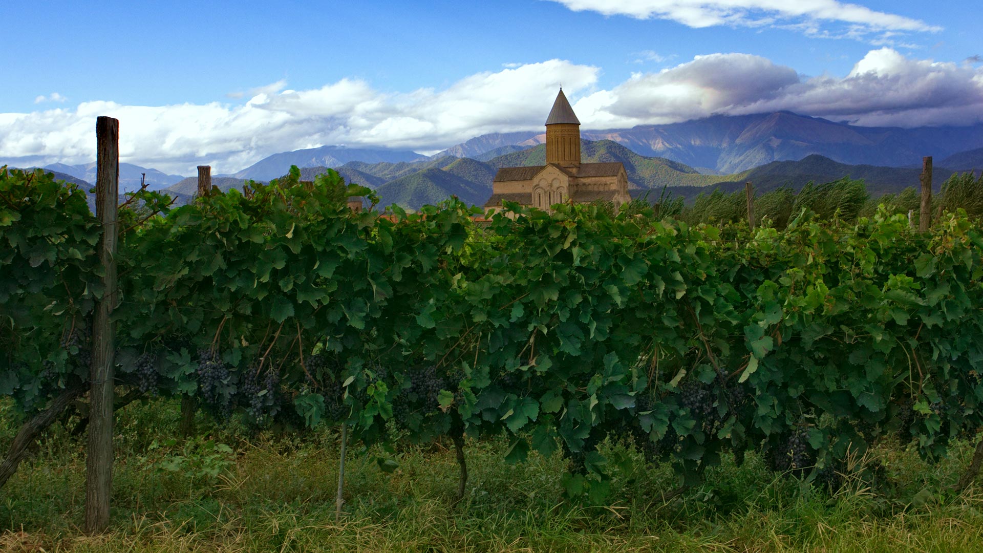 The story of Georgian wine: Marked by 8000 years of continuous vintage ...