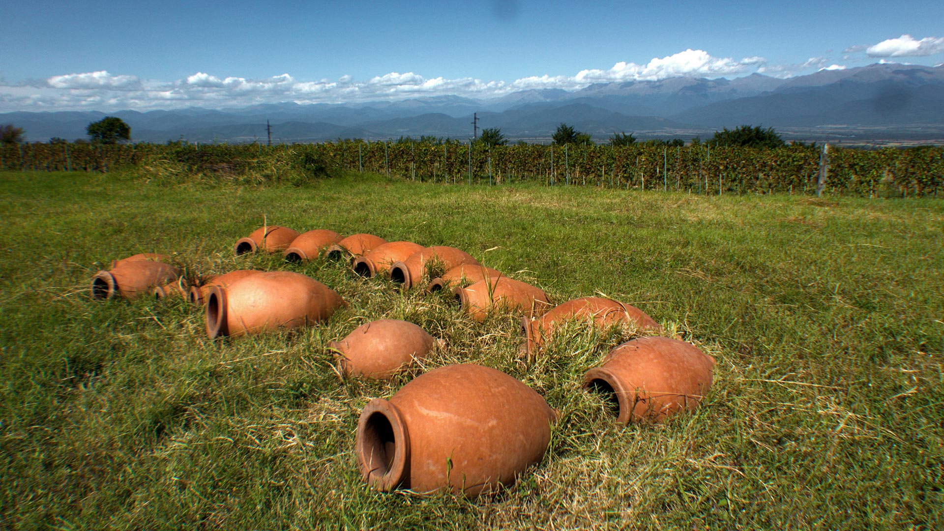 The story of Georgian wine: Marked by 8000 years of continuous vintage ...